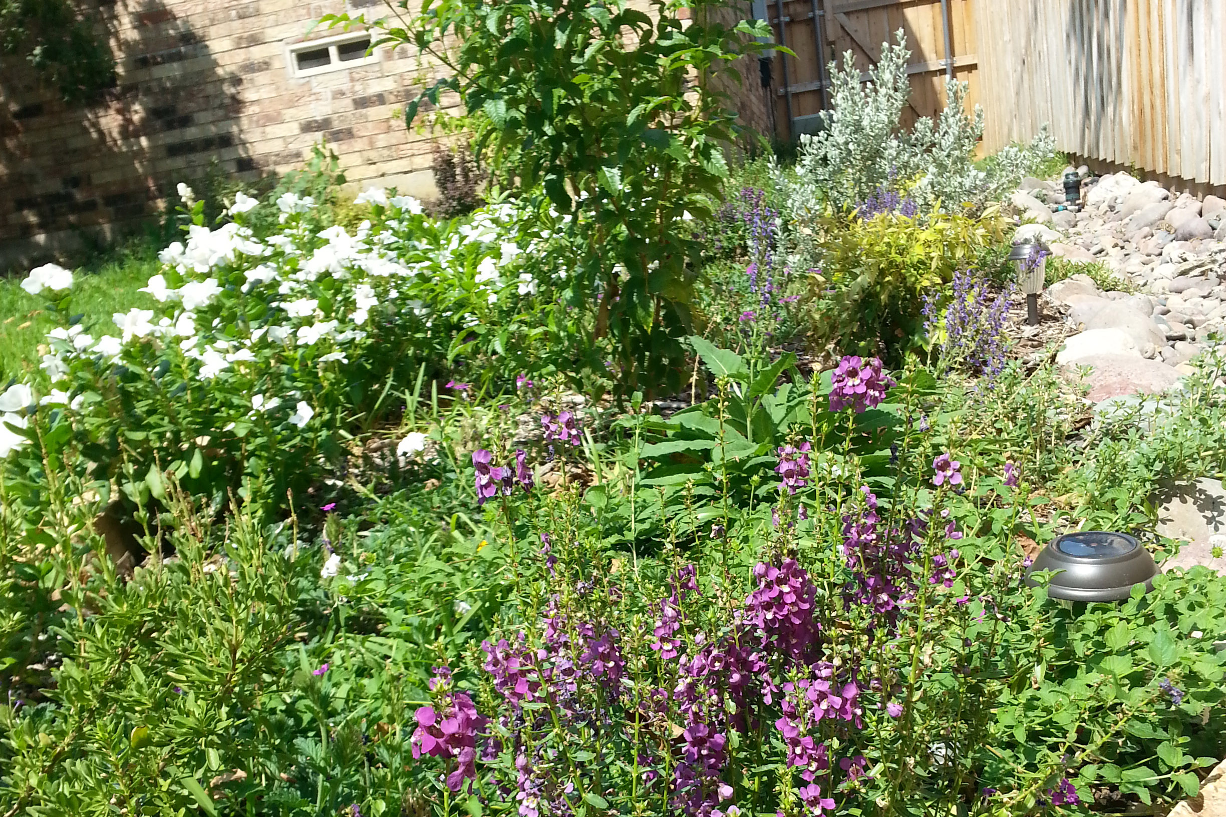 Day 16: flower bed follow-up – Adventures of a DIYer